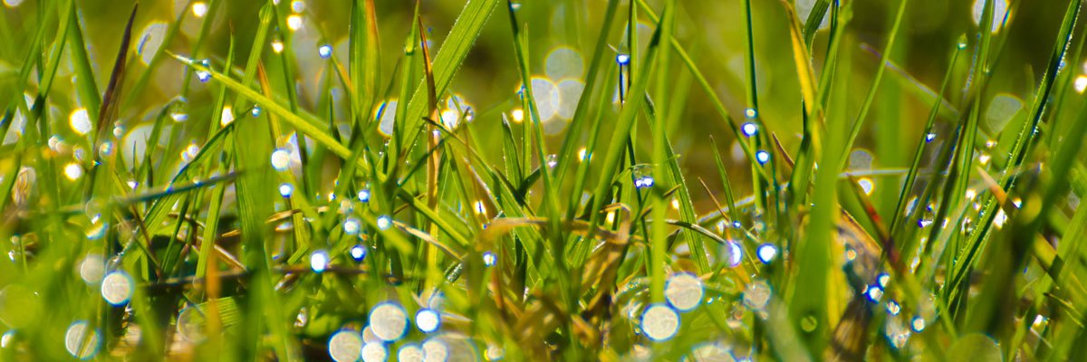 Ukrainian Spring months of March, April and May